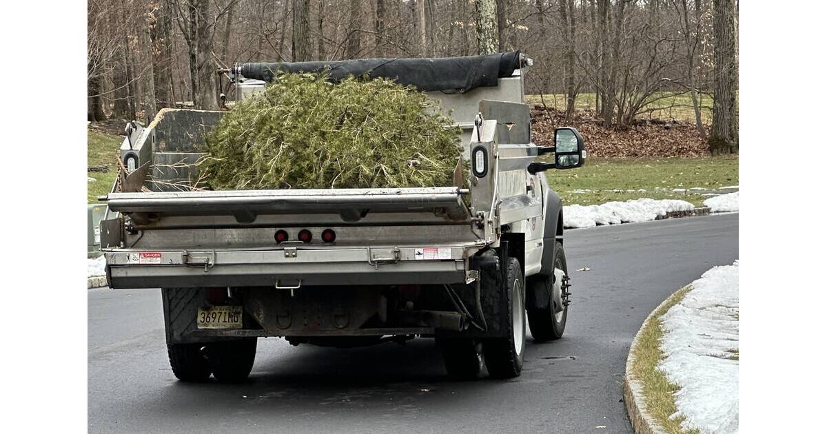 Sparta Township Curbside Christmas Tree Collection Dates | Sparta, NJ ...