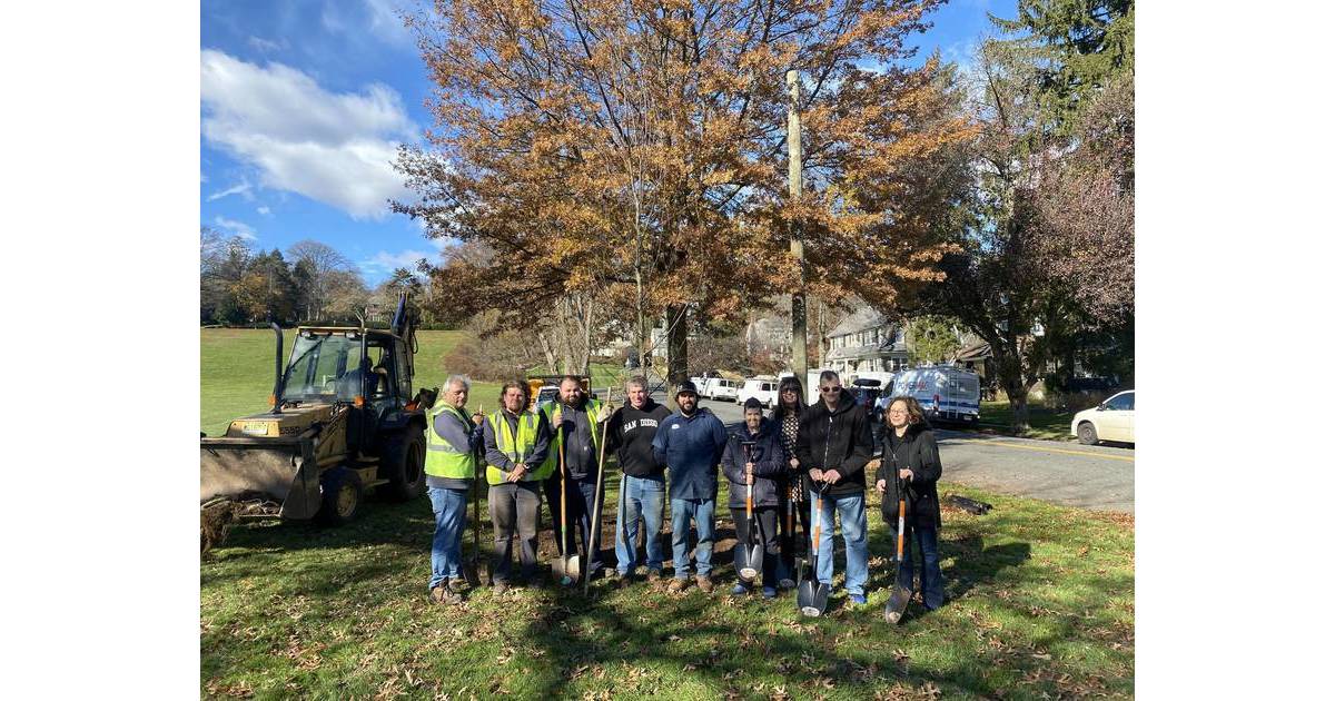 JESPY Partners with Shade Tree Group to Plant Local Trees | Newark, NJ ...