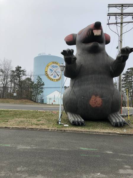 Giant Inflatable Rat Signals Union Protest on New Town Hall Job Site ...