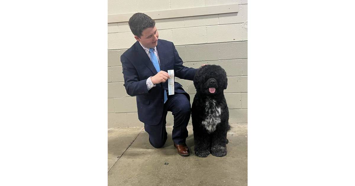 Who’s a Good Boy? Westfield Dog Wins Best of Breed at Westminster ...