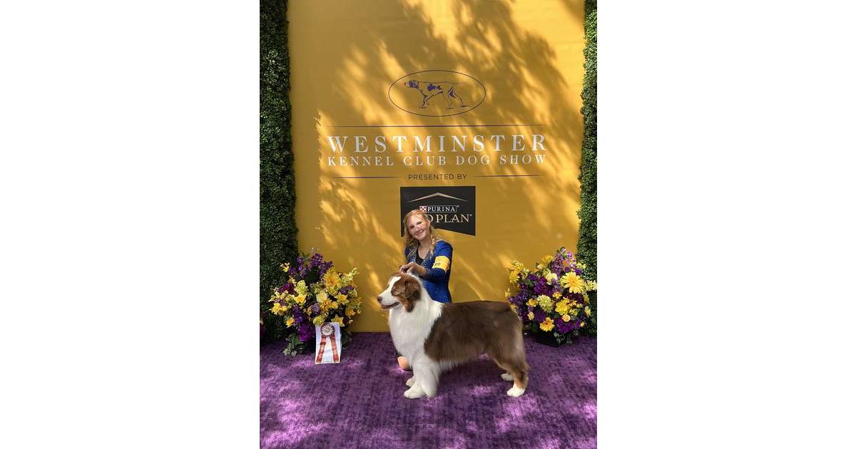 BRMS Eighth Grader Wins Prize at Monday's Westminster Show ...