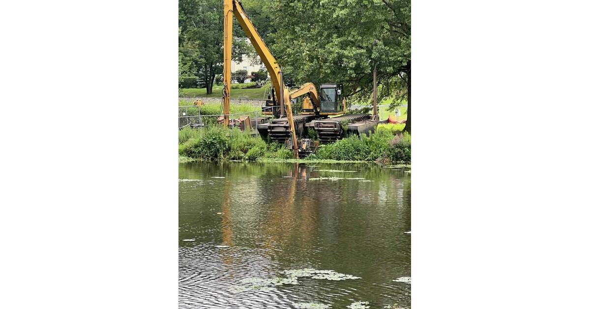 Summit NJ: Updates on Briant Park Pond Restoration | Summit, NJ News ...