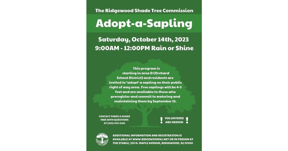 Shade Tree Commission Readies for Another Round of Sapling Planting ...