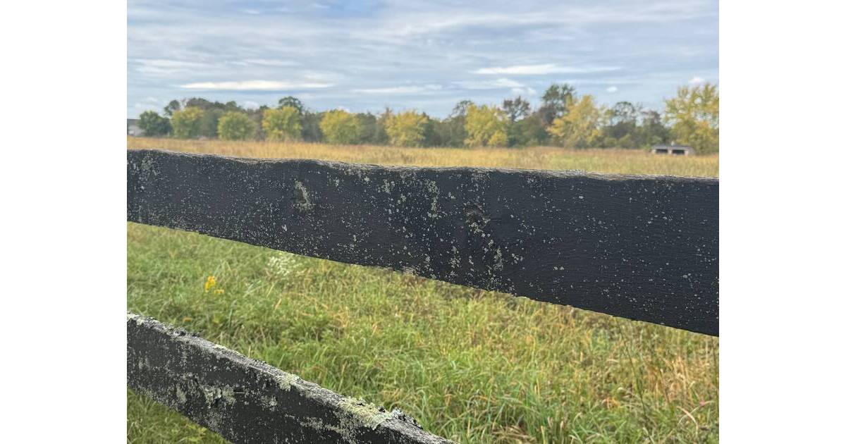 Hamilton Township Officials Announce Preservation of 25 Acres of ...