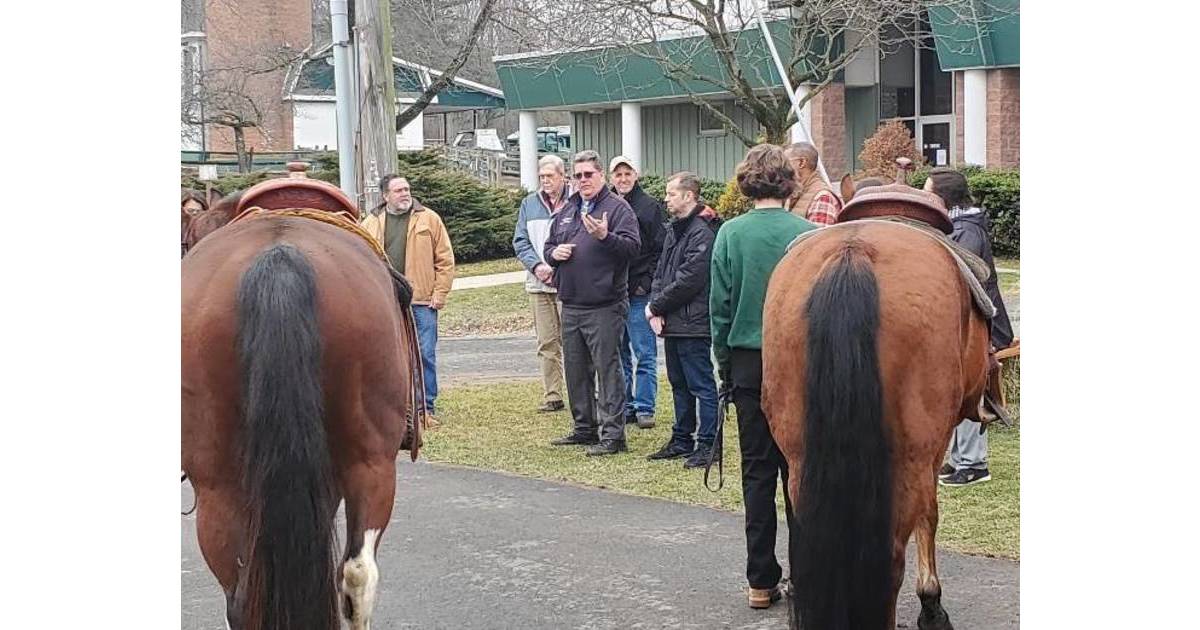 Stable at Lord Stirling Park Restores Guided Trail Rides, More ...