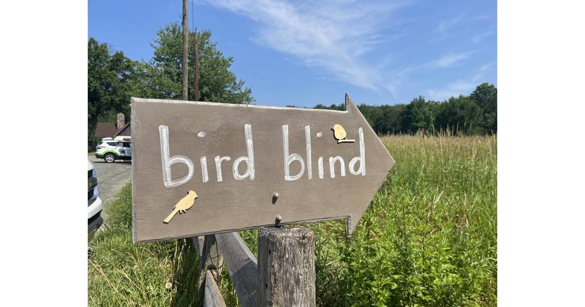 Cranford Eagle Scout Rebuilds Bird Blind at Lenape Park | Cranford, NJ ...
