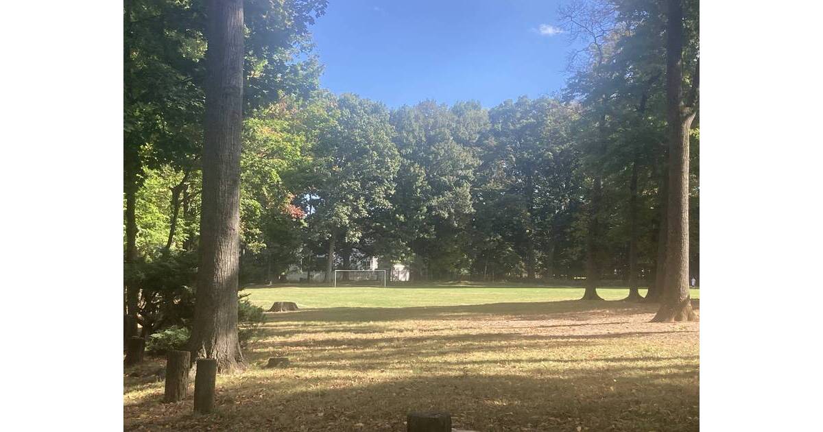 Ridgewood Village Council Takes Next Steps in Renovations to Hawes ...