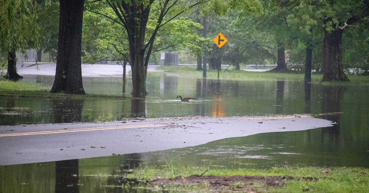 Plainfield Experiences Flash Floods as Cedar Brook, Green Brook ...