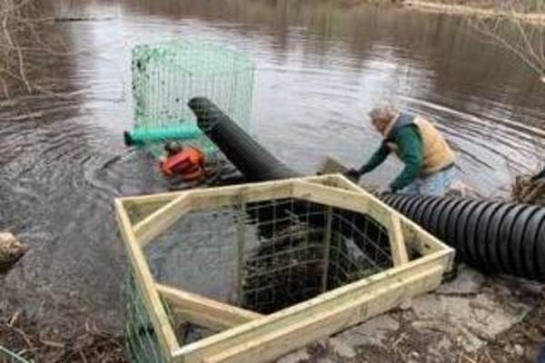 Clever Contraption Baffles Beavers | Somers, NY News TAPinto