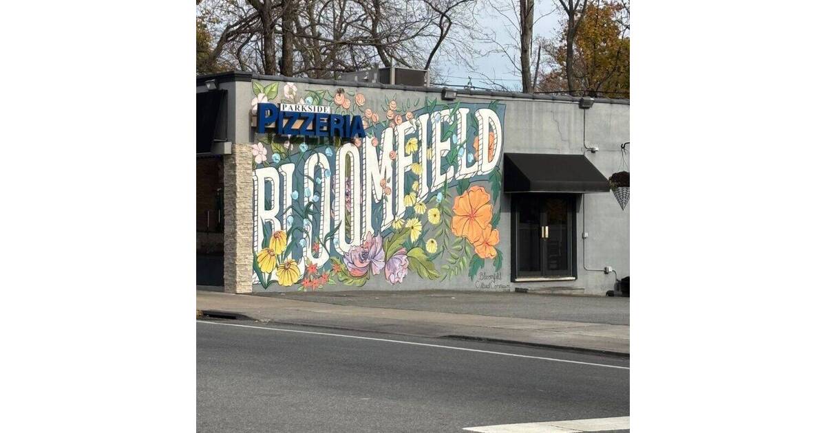 Bloomfield Residents Invited to Sound Off on Township Master Plan ...