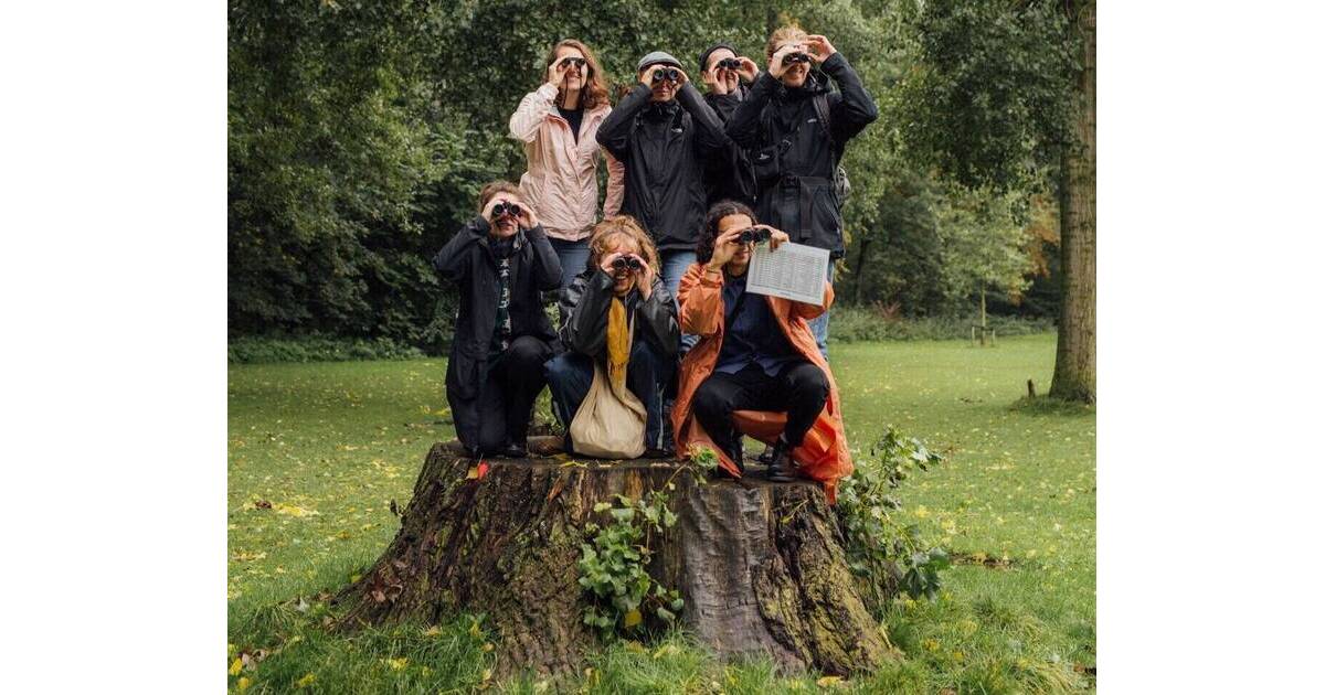 ‘Metroscapes’ by Feminist Bird Club To Open At SMUSH Gallery | Jersey ...
