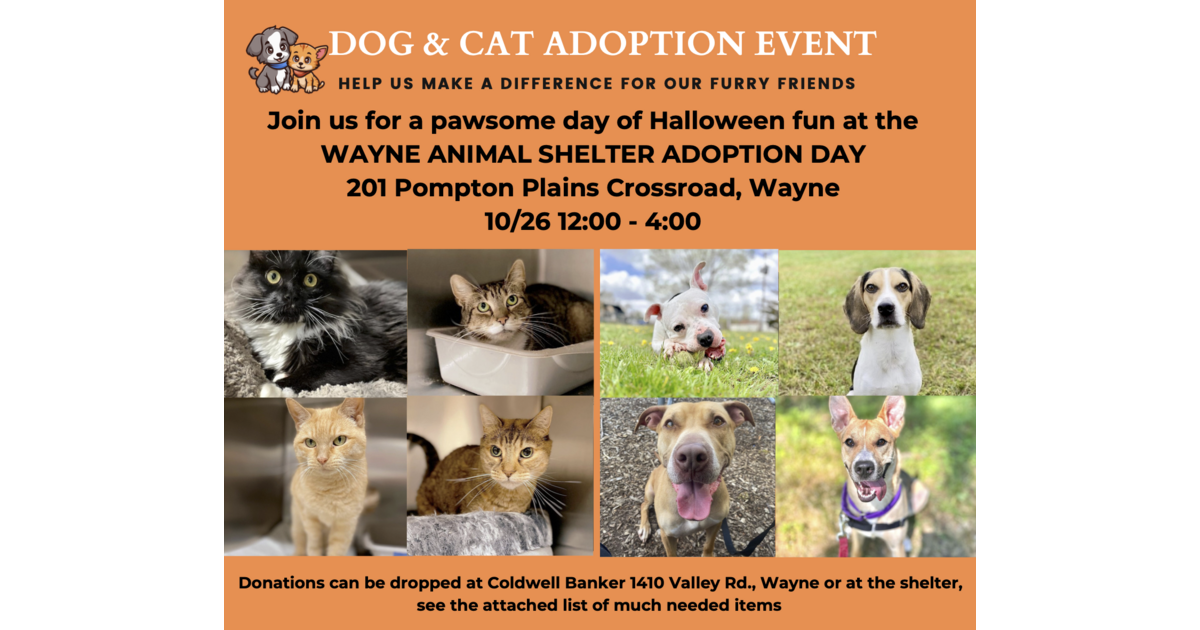 Pet Adoption Event for Overcrowded Wayne Animal Shelter This Saturday ...
