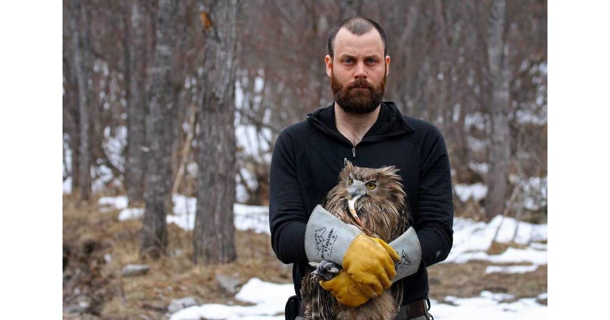 CCM Legacy Project to Explore 9/11 Healing, Owls of the Eastern Ice and ...