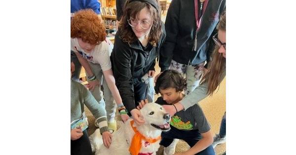 Roxy Therapy Dogs Names Two Local Women to Board of Directors ...