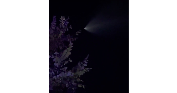 Residents see an ‘out of this world’ sight in Saturday night’s sky ...