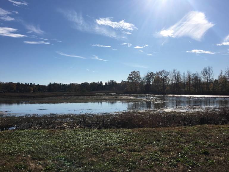 Groundbreaking Ceremony Signals Start Of Long Awaited Devoe Lake ...