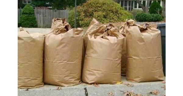 Curbside Leaf Collection in Summit Begins Oct. 2 | Summit, NJ News ...