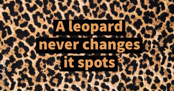 A Leopard Never Changes its Spots | Berkeley Heights, NJ News TAPinto ...