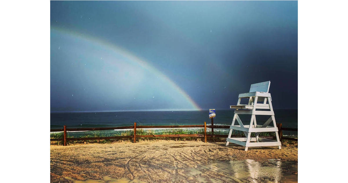 Beach Haven Offers Gator Beach Taxi Service for Elderly & Disabled ...