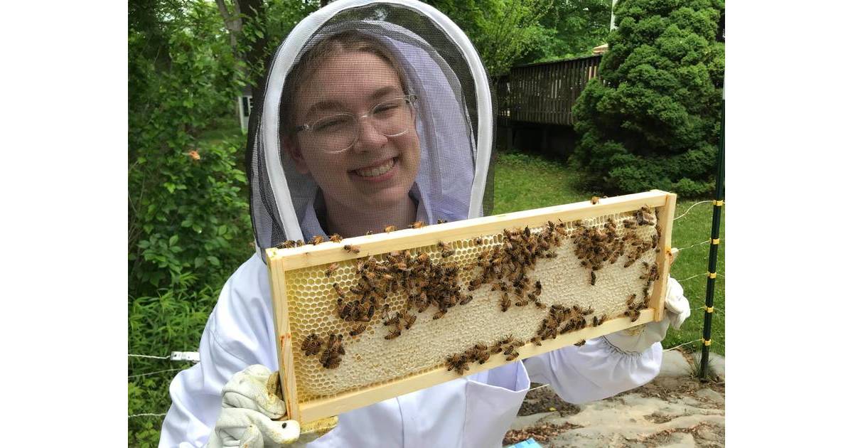 Girl Scout Gold Encourages Residents to 'Bee Friendly' | Montville, NJ ...