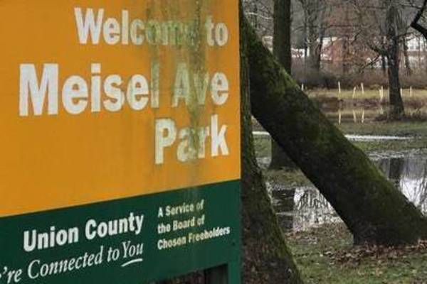 Meisel Ave. Field to Get Significant Upgrades from Union County ...