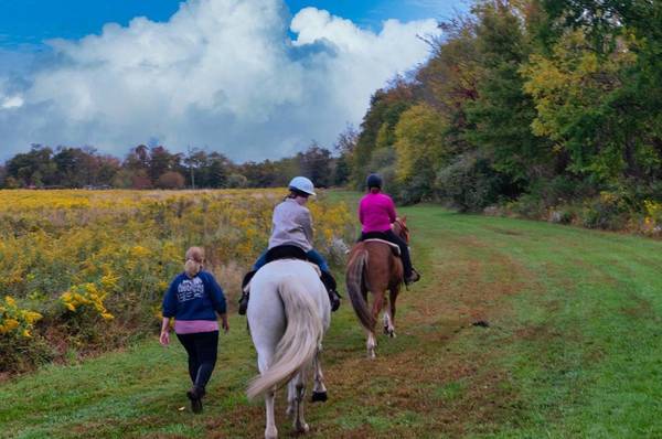 Mercer County Stables Saddling Up Classes for Riders of All Ages ...