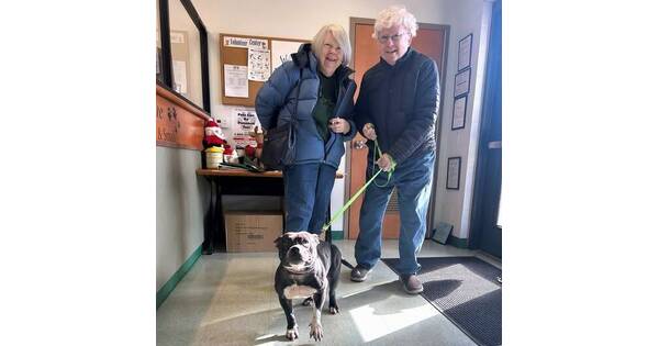 Hamilton Animal Shelter Celebrates First Dog Adoption of 2025 ...
