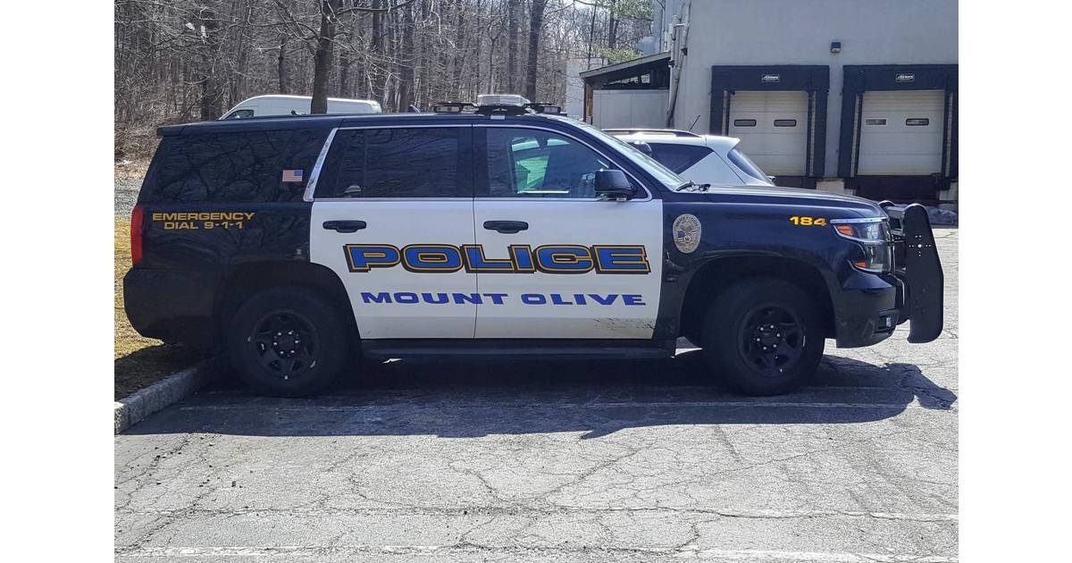 Police: Youths Steal Car from Roxbury, Make Threats Against Mount Olive ...