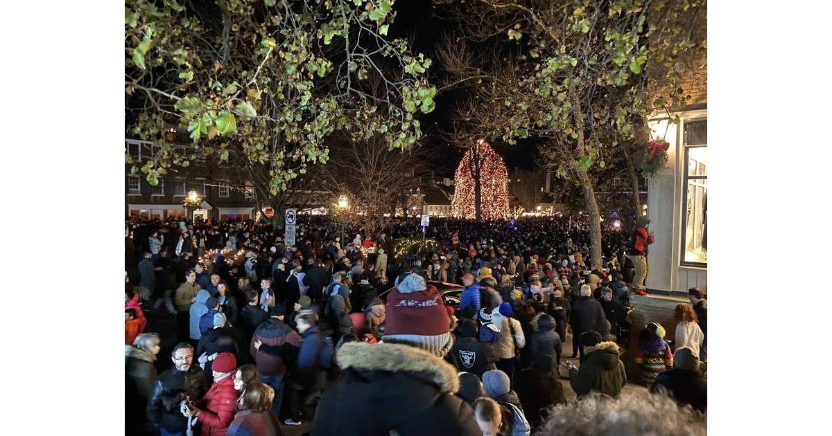 Weekend Update: A Princeton Tradition -- the Holiday Tree Lighting at ...