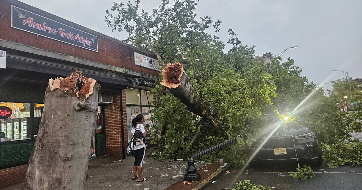 Two Confirmed Fatalities from Severe Plainfield Storm as Power Outages ...