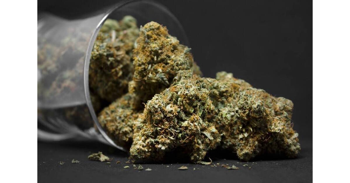 NJ ‘Tokes Up’ Record-Setting $1 Billion High in Pot Sales | Woodbridge ...