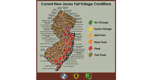 NJ Forest Service Foliage Map Shows Most of NJ 'Past Peak' | Nutley, NJ ...