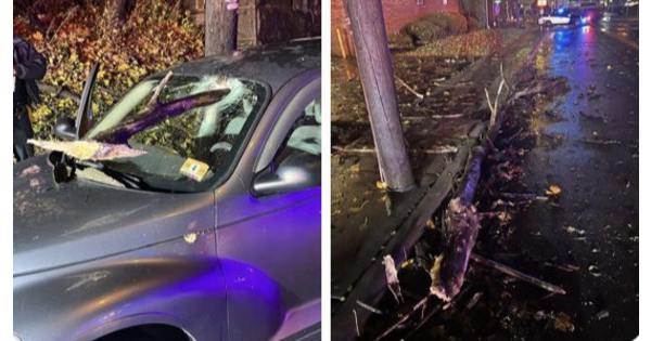 Belleville Woman Injured After Tree Branch Goes Through Windshield in ...