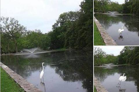 'Nutley Time' from George Draney Now A Featured Column on TAPinto ...