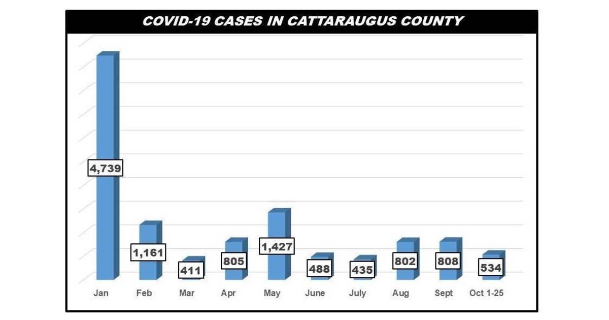 Cattaraugus County Reports 50 New COVID Cases Oct. 22-24 | Greater ...