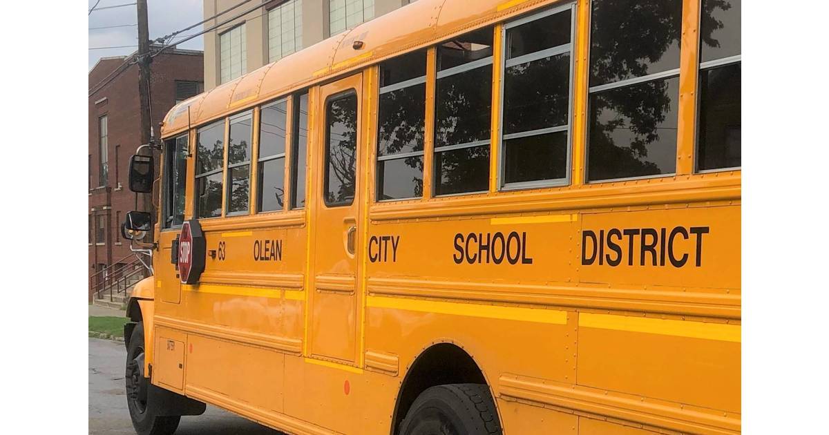 Olean Voters Elect Burrows and Hauser to School Board | Greater Olean ...