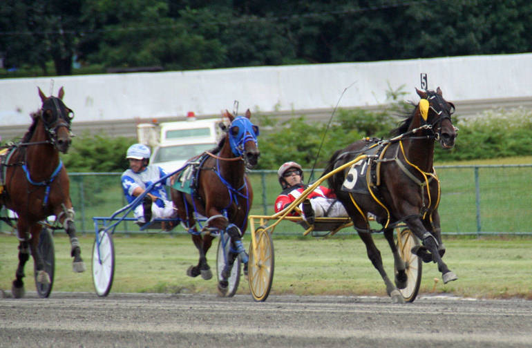 Harness Racing Museum & Hall Of Fame To Hold Inductions On July 7 - TAPinto