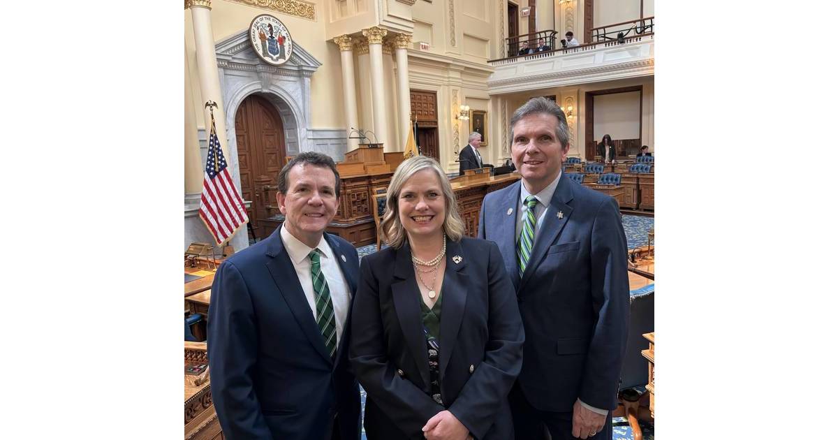 O’Scanlon, Scharfenberger and Flynn Call for Special Hearing to Address ...