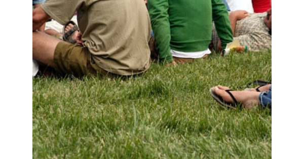 Parrot Beach Concert at Bee Meadow Pool Rescheduled to Sunday June 25th ...