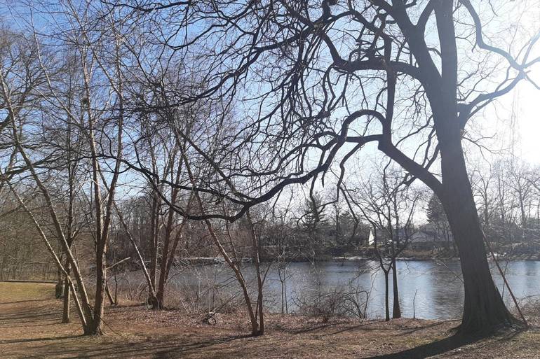 Milton Lake Cleanup Tomorrow, Labor of Love for Park and Nature ...