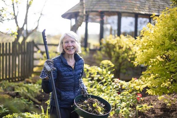 No Garden Yet? No Worries: Here’s What You Can Still Plant In June ...