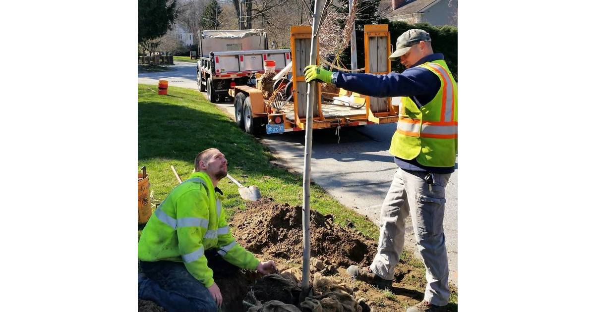 Newark Gets $1.2M Grant to Plant More Sidewalk Trees | Newark, NJ News ...