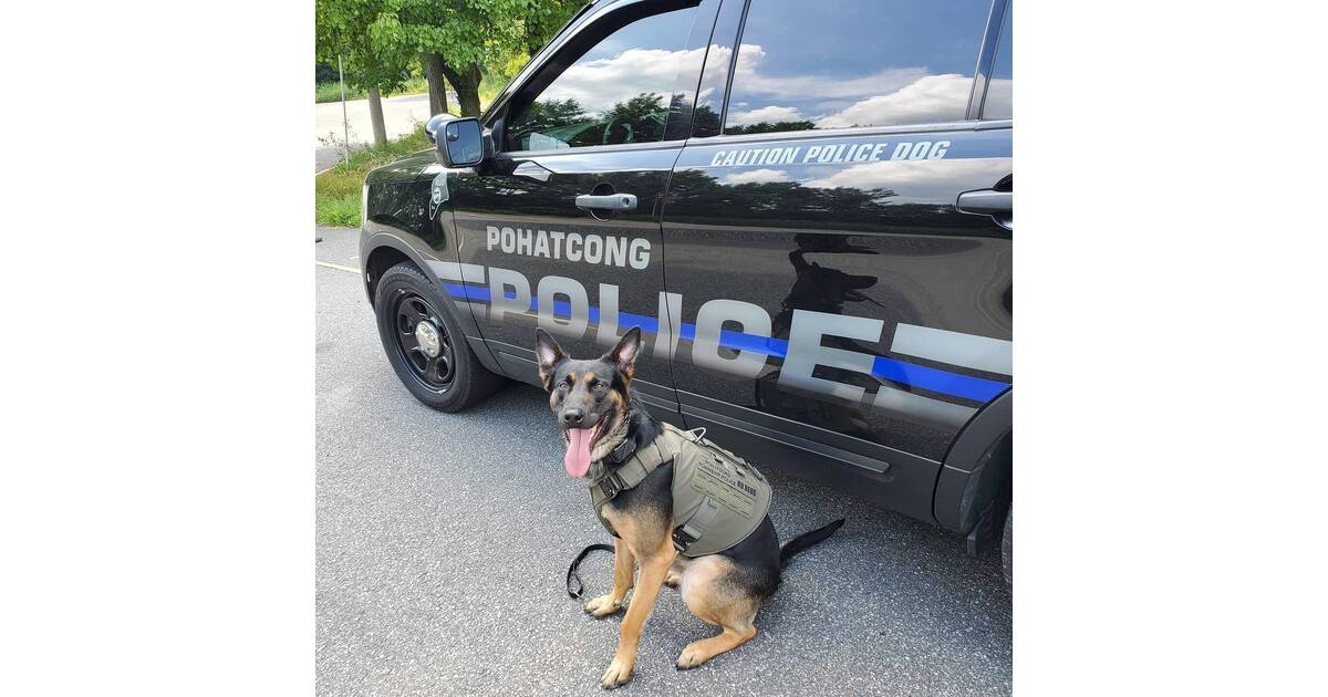Police K-9 Training Area to Locate at Warren County Public Safety ...