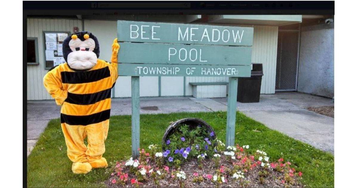 Bee Meadow Pool Opening Day | Hanover Township, NJ News TAPinto
