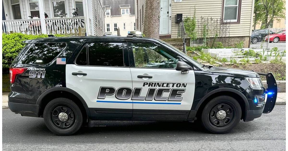 Alarms Thwart Two Attempted Break-Ins of Princeton Residences ...
