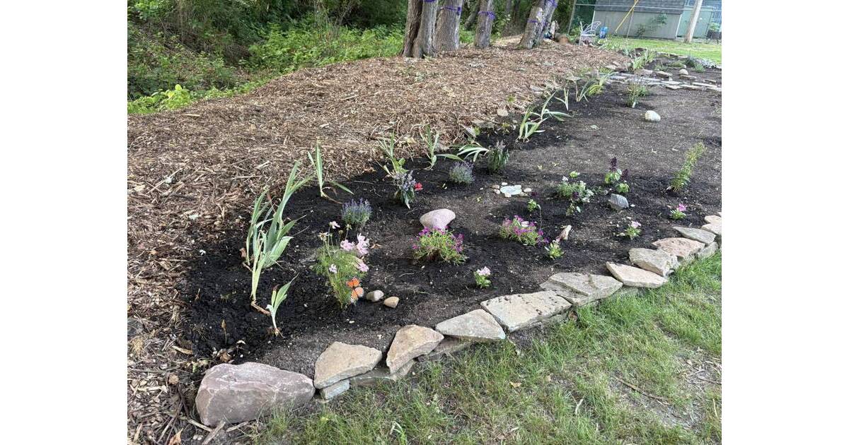 Naming Ceremony for Purple Project's Memorial Garden Planted Last ...