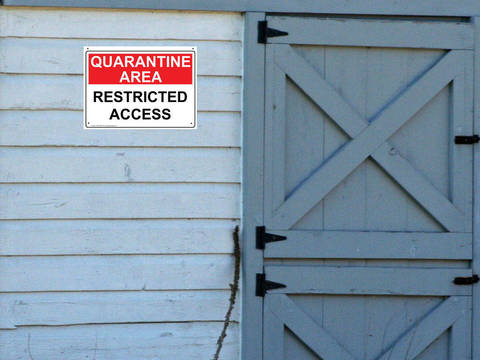 Horses Diagnosed With EHV-1 In New York, Quarantines In Place | News ...