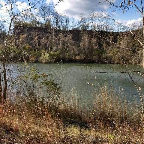 Houdaille Quarry Walk this Sunday, November 18 | Springfield, NJ News ...