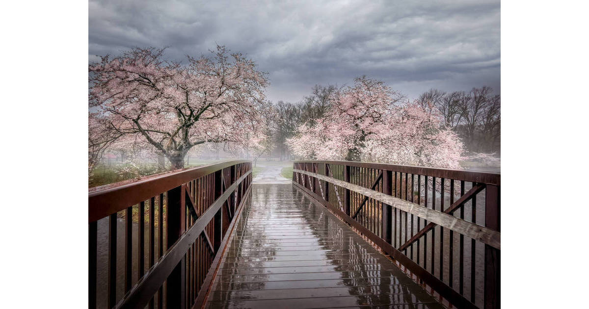 Local Photographer Joe Manzella Captures the Beauty of Cranford ...