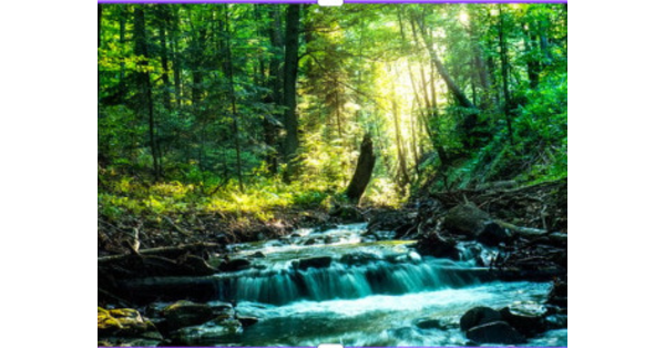 Whippany-Passaic Rivers’ Flood Mitigation Project Underway | Hanover ...